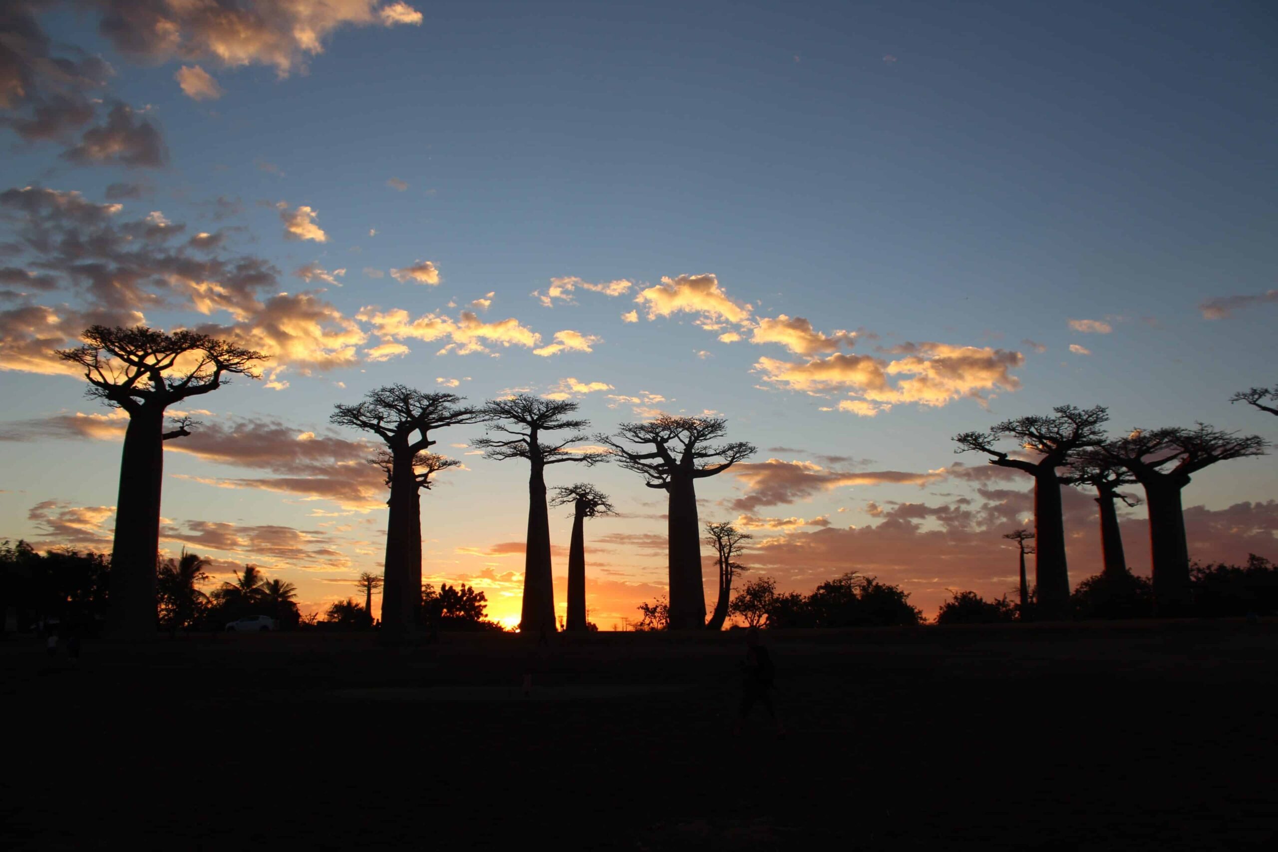 Top 5 věcí, které můžete vidět a dělat na Madagaskaru - OnlyForMen.cz